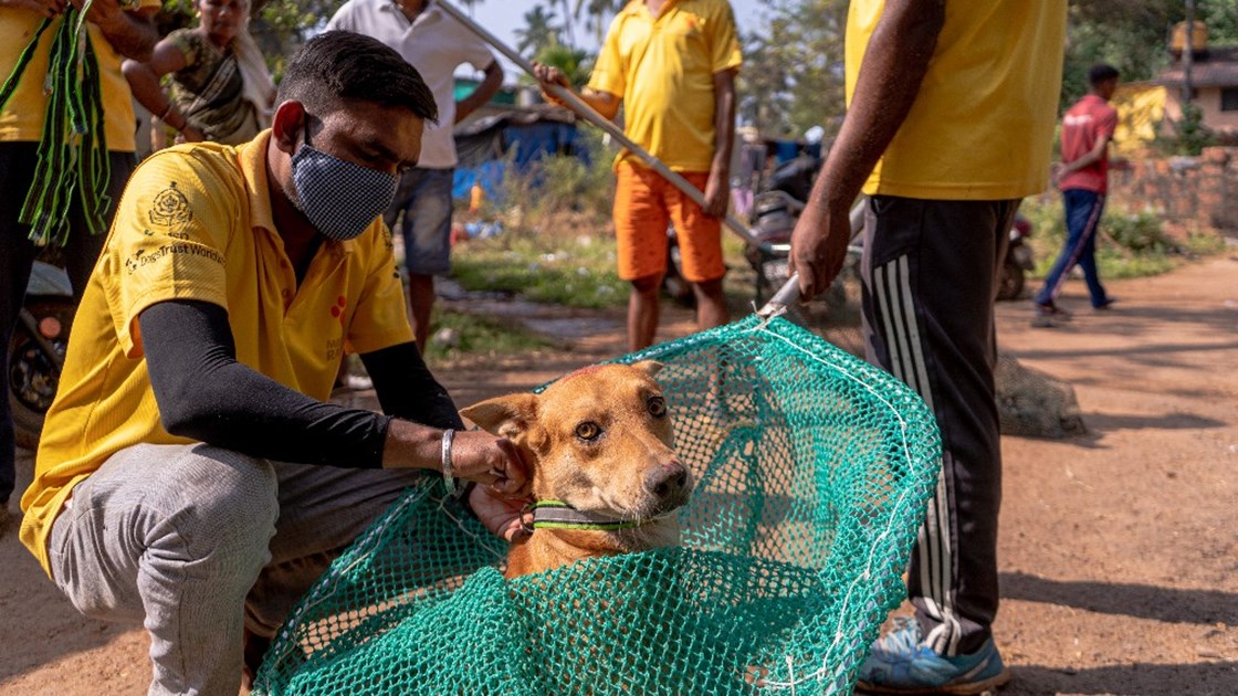 Taryn Griffith is fundraising for Worldwide Veterinary Service