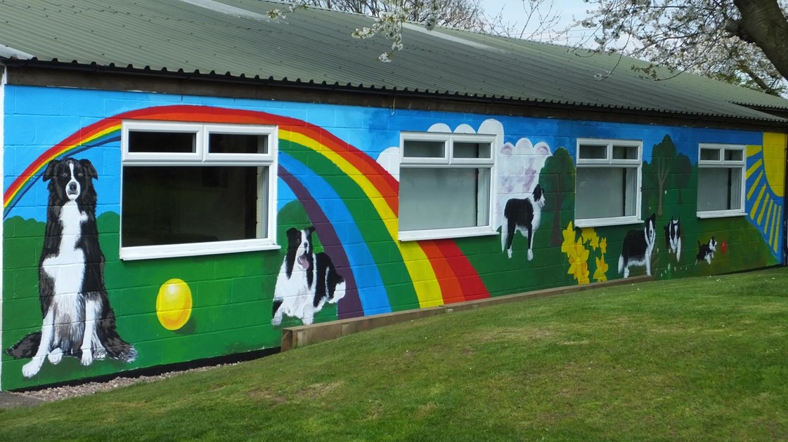 Christine Beevers is fundraising for Border Collie Trust GB