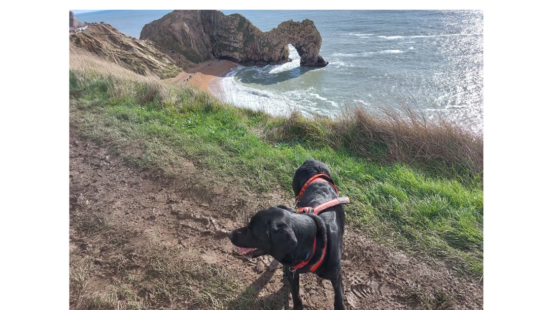 Iain Dunn is fundraising for Macmillan Cancer Support