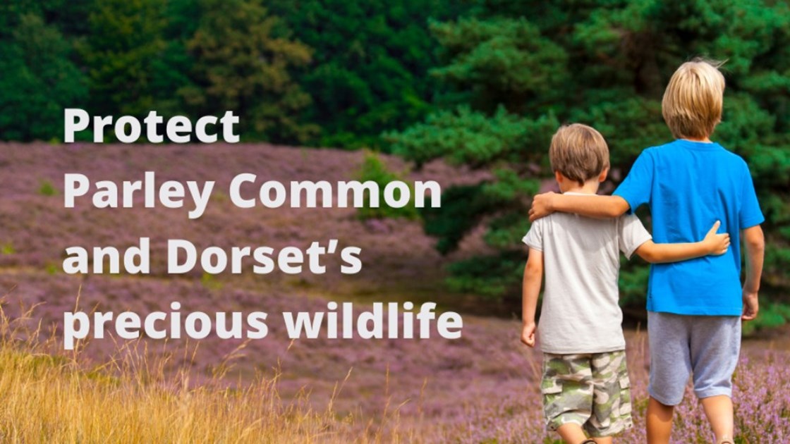 Secure the future of Dorset nature reserve - JustGiving