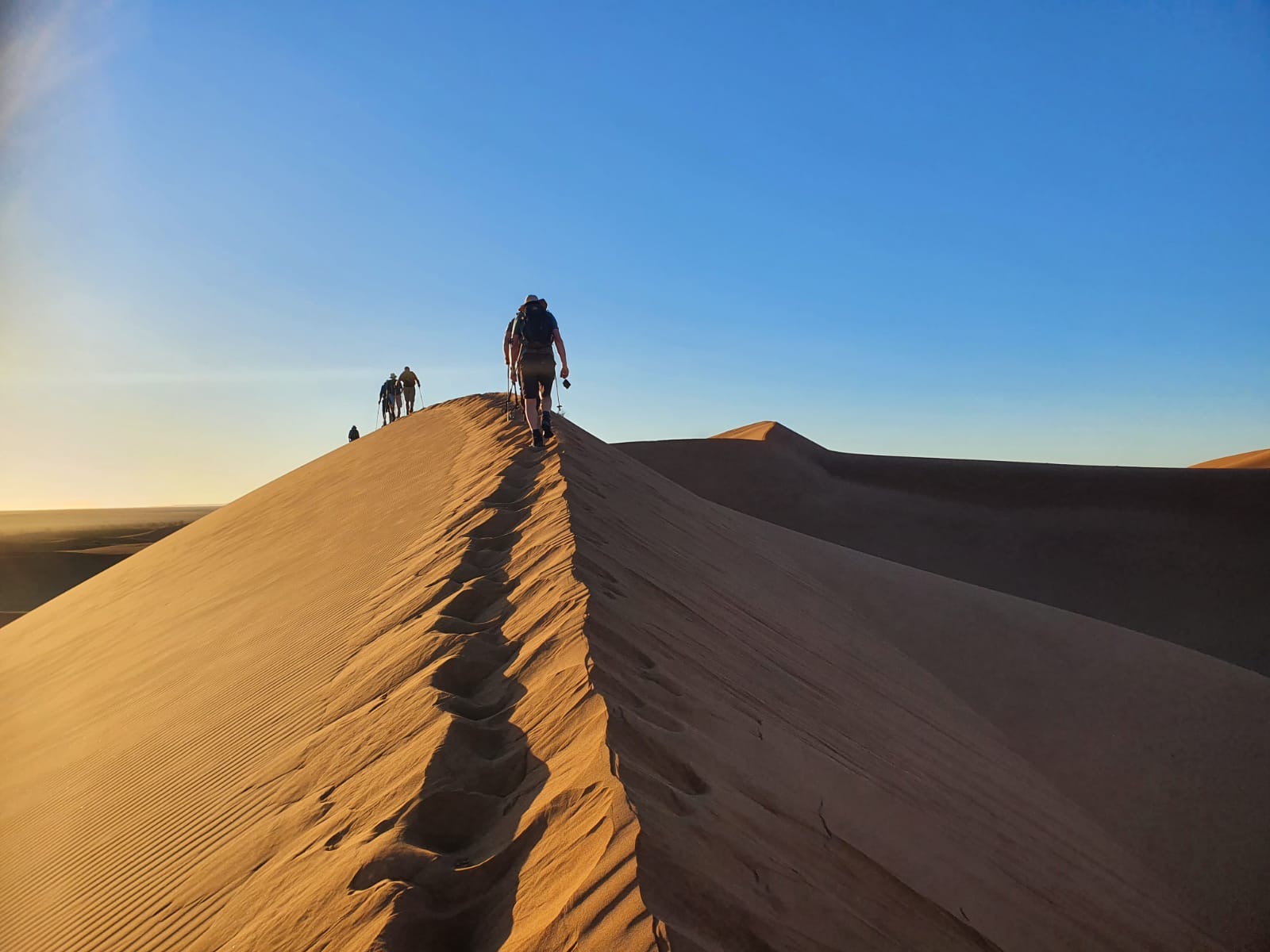 Lewis Runnion is fundraising for Walking With The Wounded