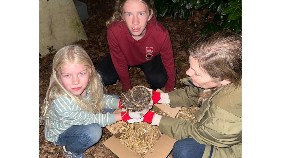 Orran O'Brien is fundraising for The Wildlife Aid Foundation