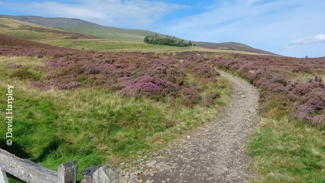 Jonathan Ekstrom is fundraising for Cumbria Wildlife Trust