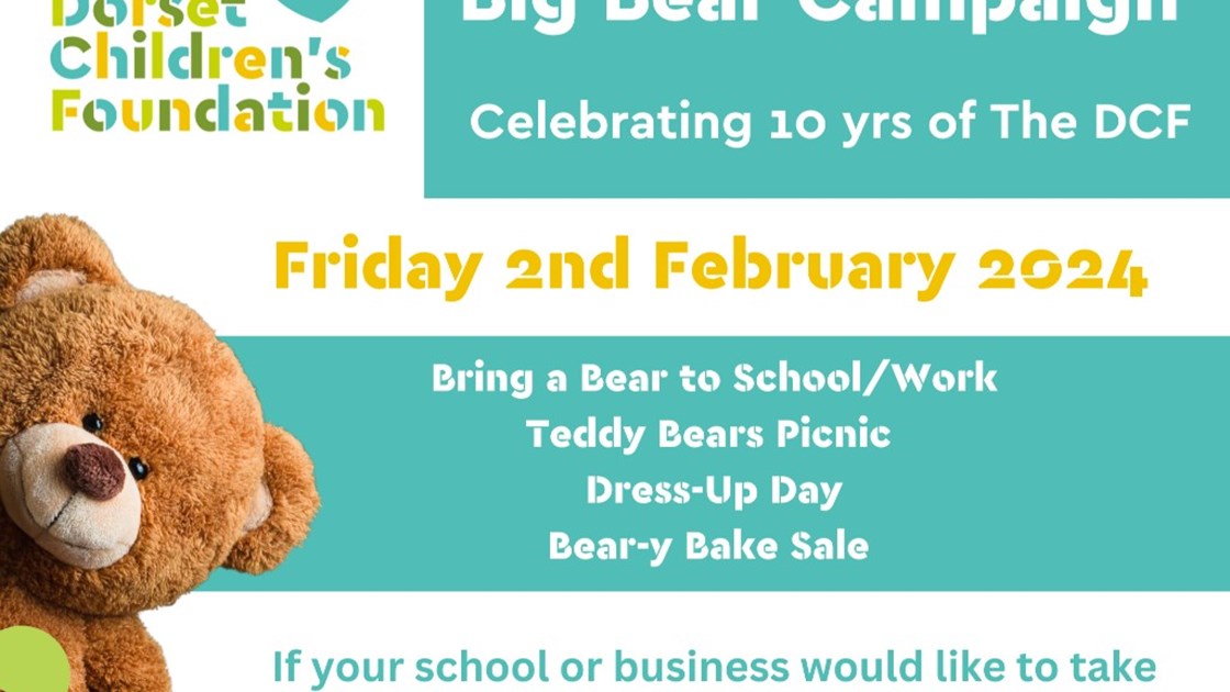 Big Bear Campaign - JustGiving