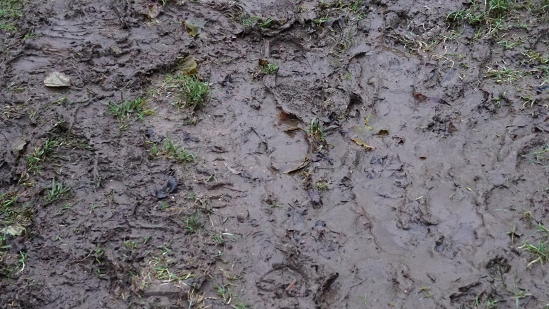 Mud Mats For The Farm - JustGiving