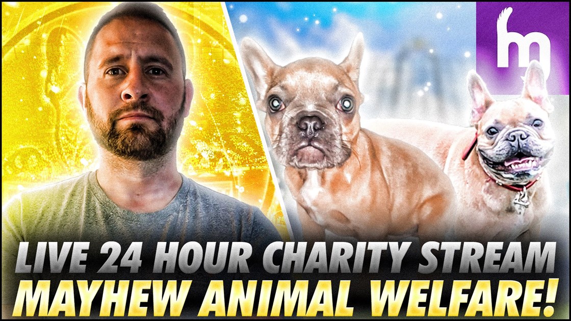 Richard Savva is fundraising for The Mayhew Animal Home