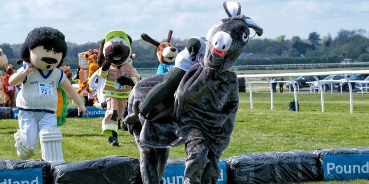 Three Counties Equine Hospital Gloucestershire is fundraising for Sue Ryder