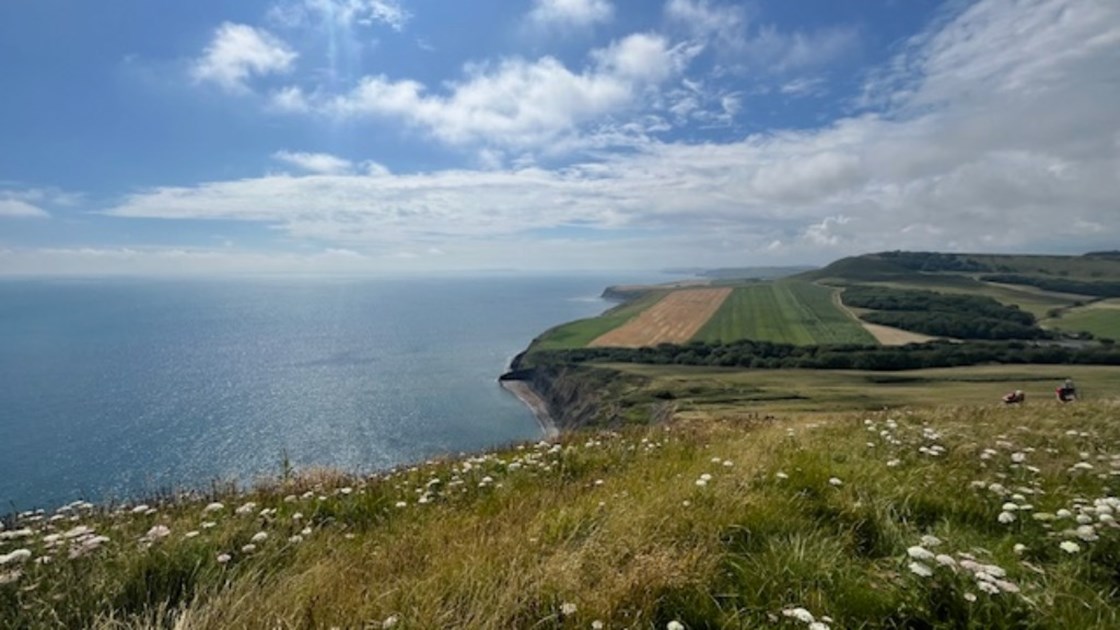 Swavesey VC Dorset Walk 2025 - JustGiving