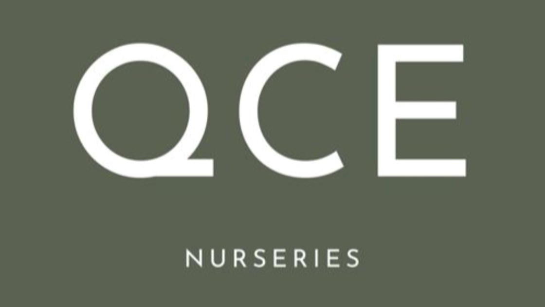 QCE Nurseries is fundraising for Acorns Children's Hospice Trust