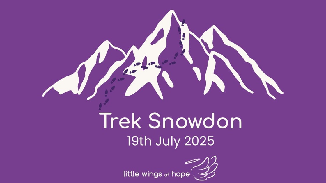 Little Wings of Hope Mount Snowdon Trek 2025 - JustGiving