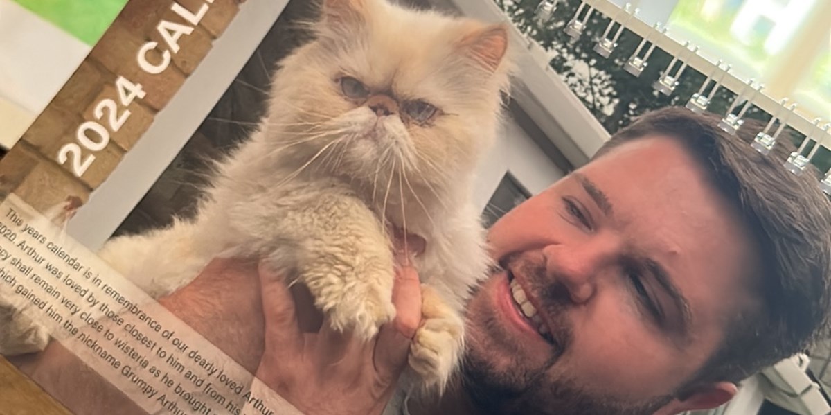 Billy Devitt is fundraising for Wisteria Cat Rescue
