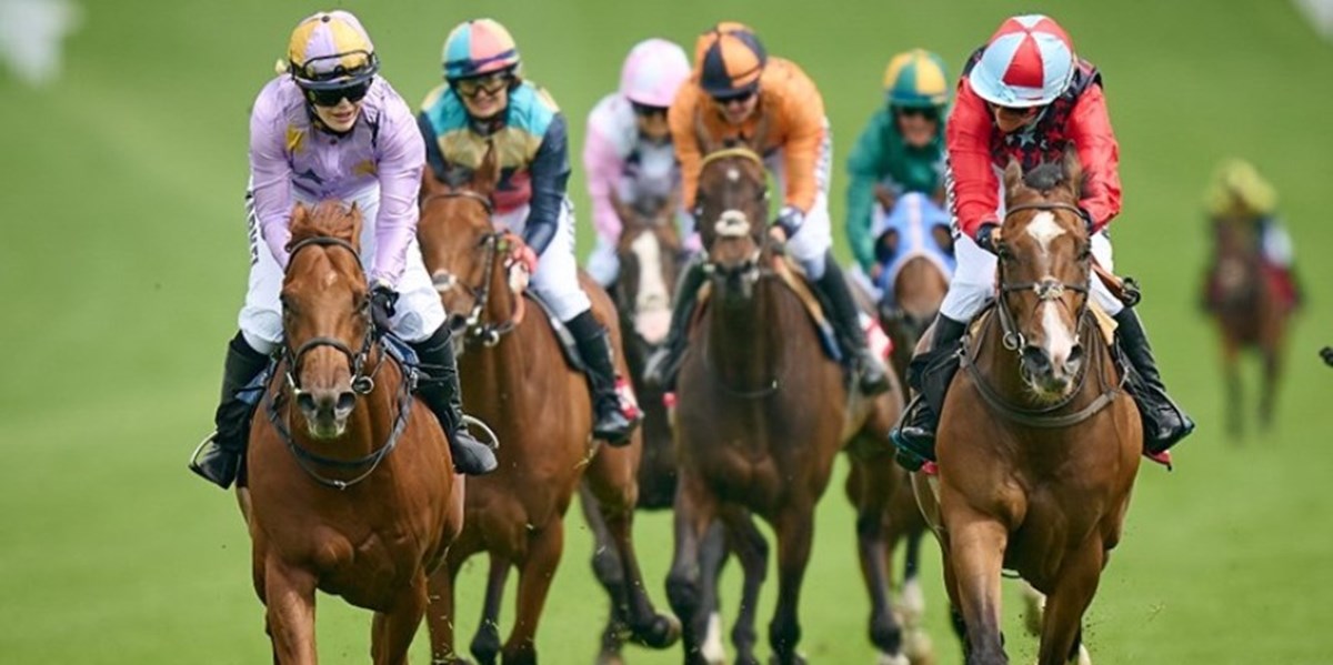 Matilda Butcher is fundraising for My Sisters' House