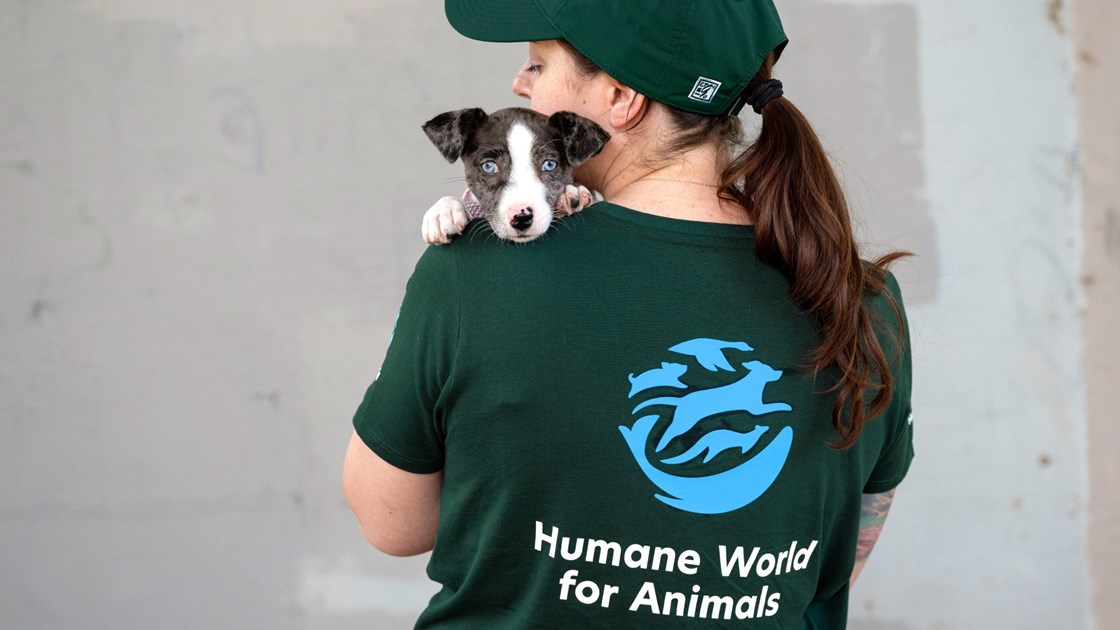 Humane World for Animals UK - JustGiving