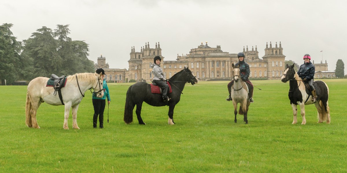 Susan Taylor is fundraising for Riding For The Disabled Association ...