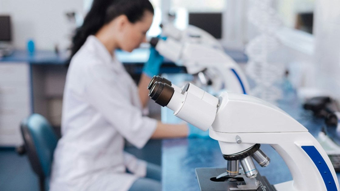 Donate to our research fund so we can continue funding vital research ...