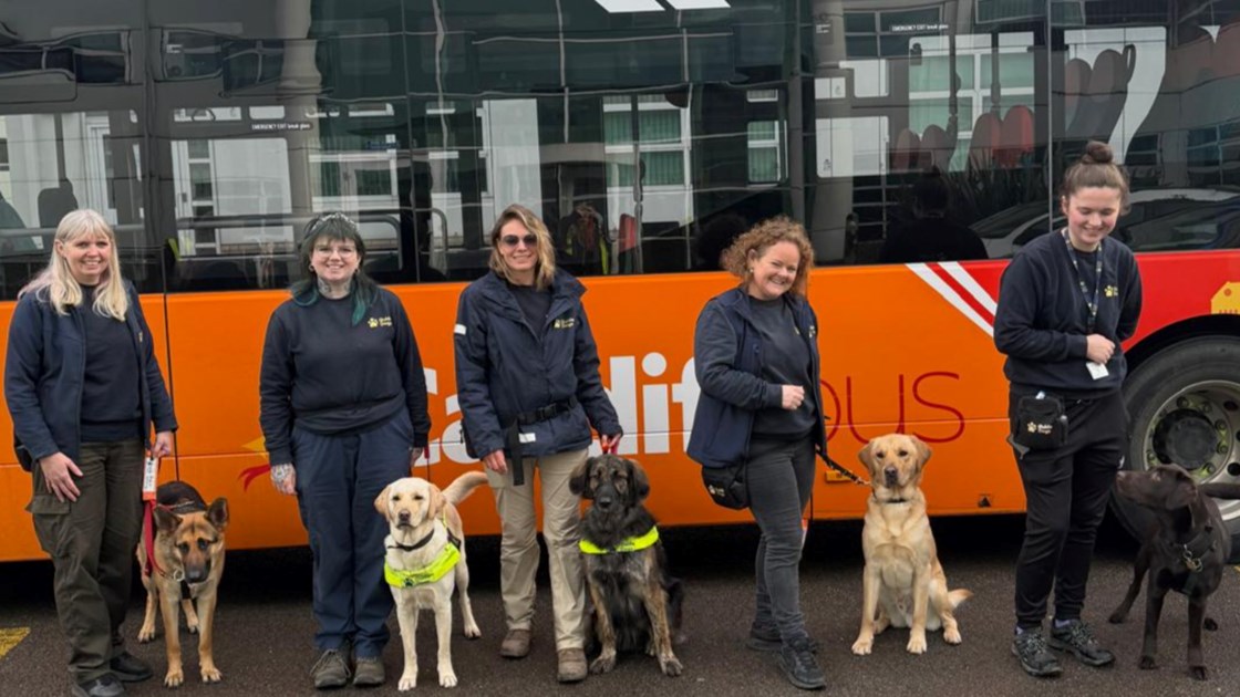 Cardiff Bus is fundraising for Guide Dogs