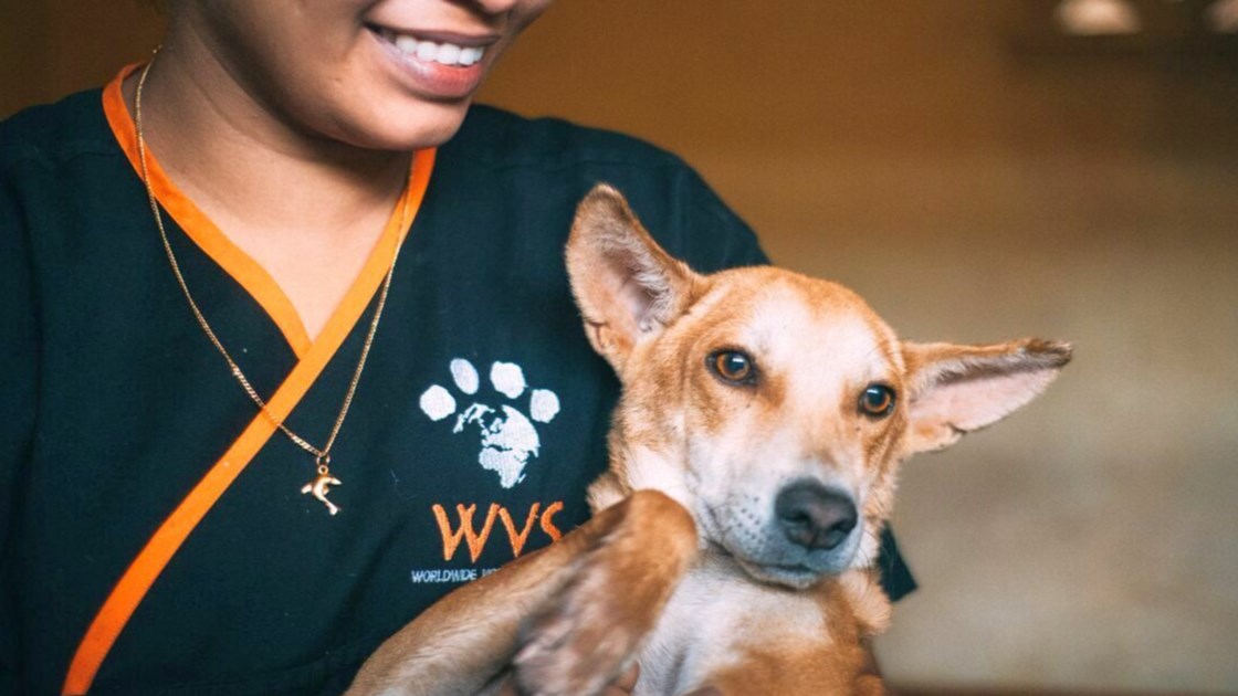 Team fundraising for Worldwide Veterinary Service is fundraising for ...