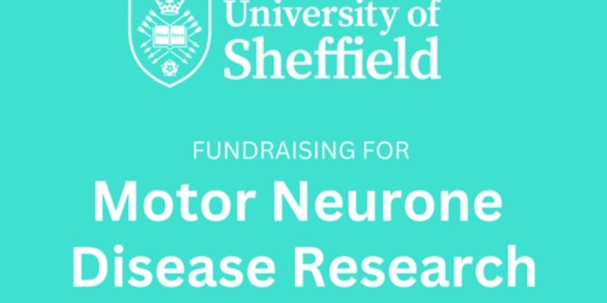Alec Stephens is fundraising for University of Sheffield