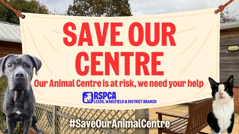 Kelsey Howell is fundraising for RSPCA Leeds Wakefield & District