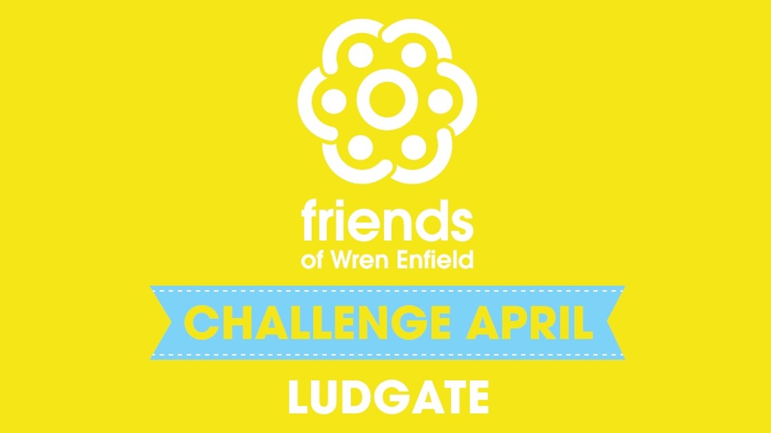 Challenge April - Ludgate Fundraiser - JustGiving