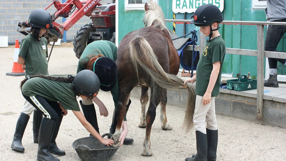 Sponsored Poo Pick - JustGiving