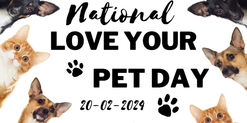 Sarah Macdonald is fundraising for Dogs Trust