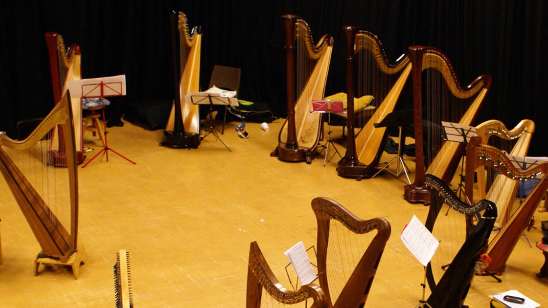 Harps Summer School and Harps in Schools - JustGiving