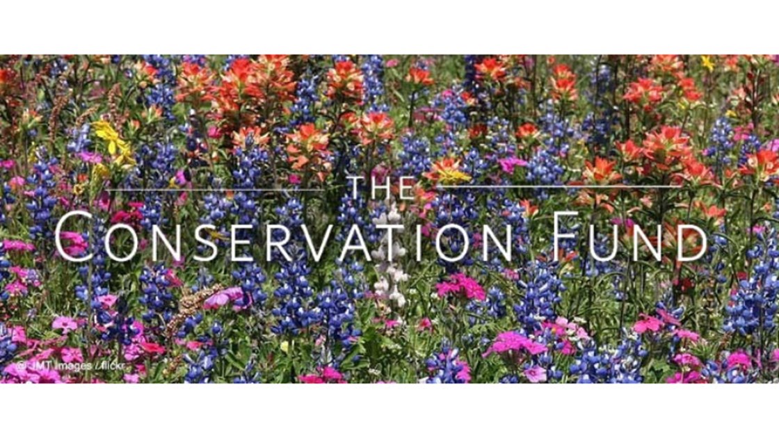 WAKE Holistic is fundraising for The Conservation Fund