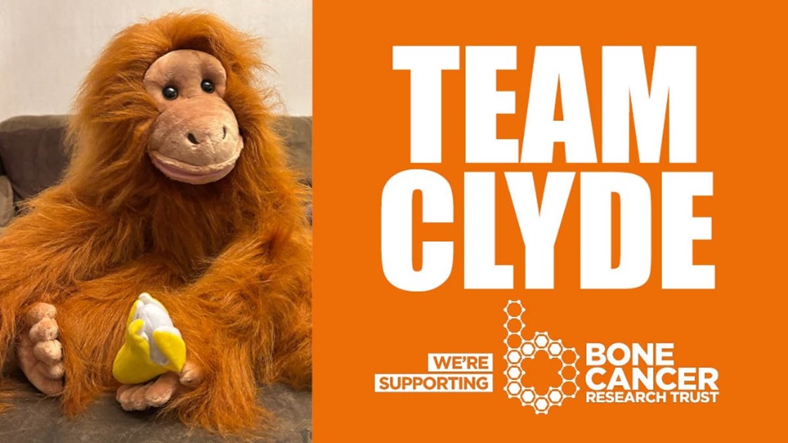 Team Clyde Walks and Treks - JustGiving