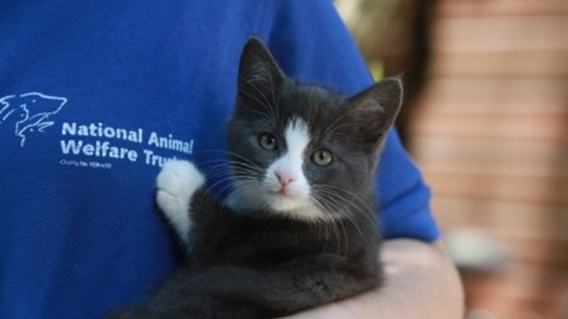 Josh Dougan is fundraising for National Animal Welfare Trust