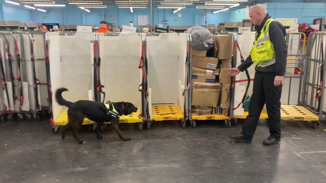 New Drugs Detection Dog - JustGiving