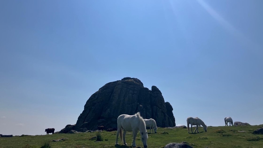 Katie Denny is fundraising for Stokenham Primary School PTFA