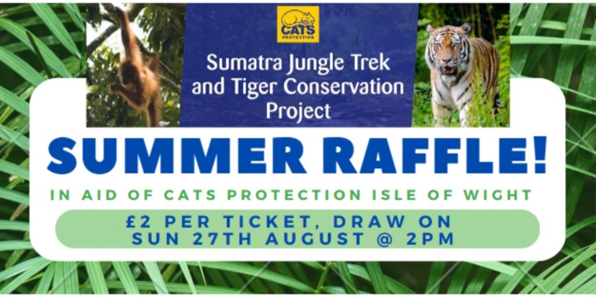 Team Cats Protection Isle of Wight is fundraising for Cats Protection