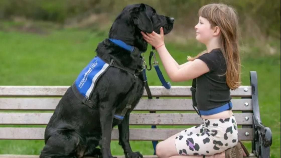 sian clark is fundraising for Support Dogs Ltd