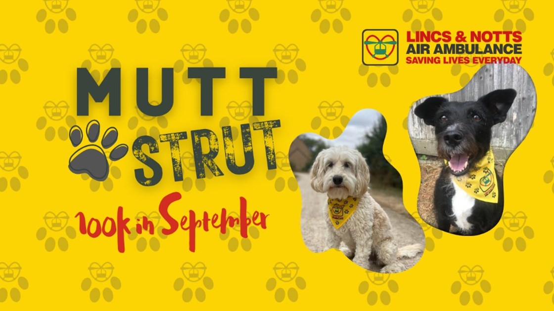 Mutt Strut 2022 - JustGiving