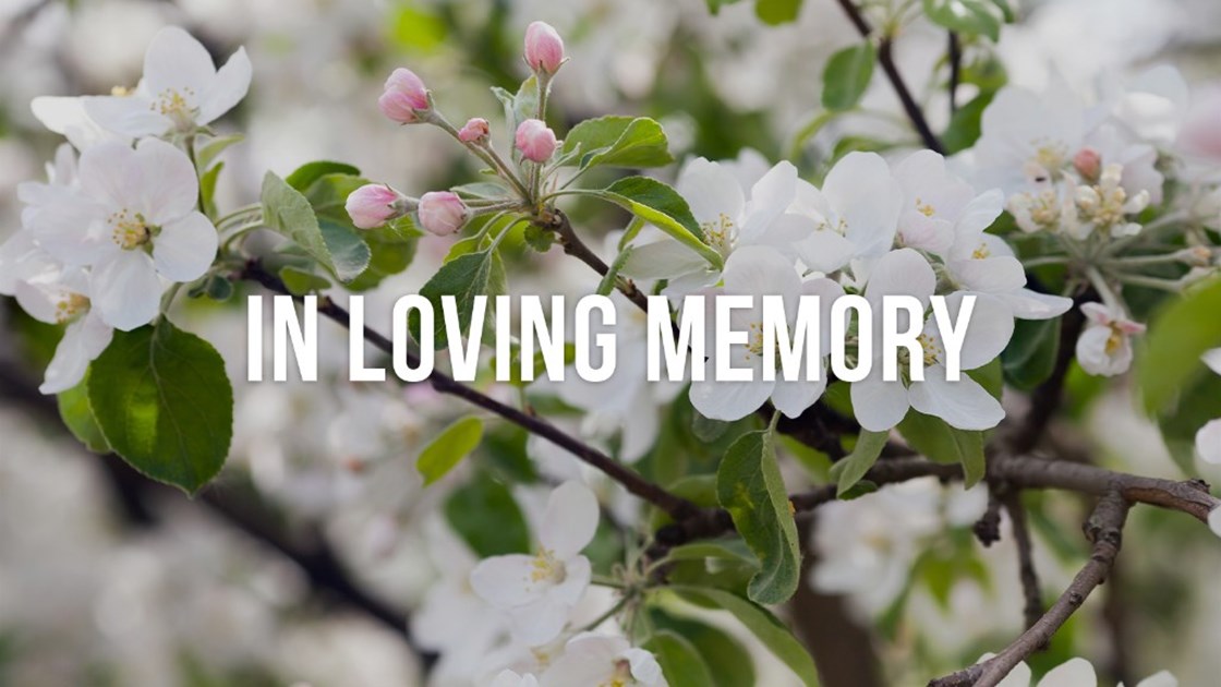 In Memoriam - JustGiving