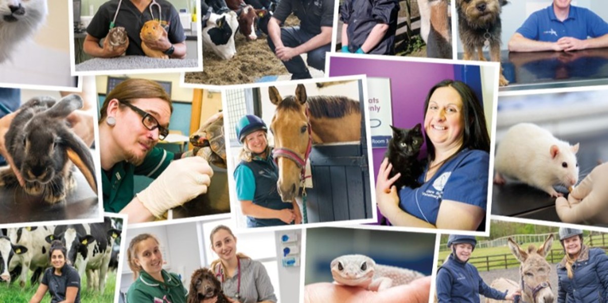 VetPartners Giving Back team is fundraising for StreetVet