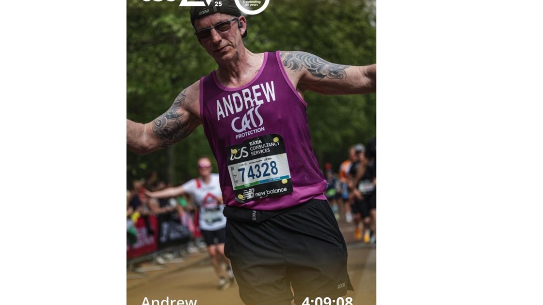 Andrew Fryer is fundraising for Cats Protection