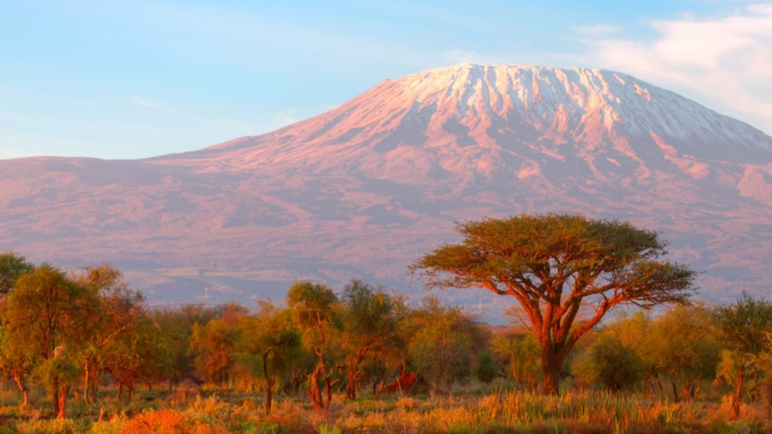 Alex Finney is fundraising for Race Against Dementia