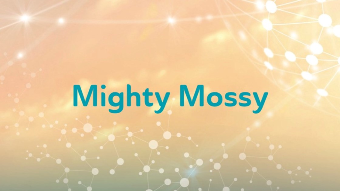 Rosetta Carter is fundraising for CCLG: The Children & Young People’s ...