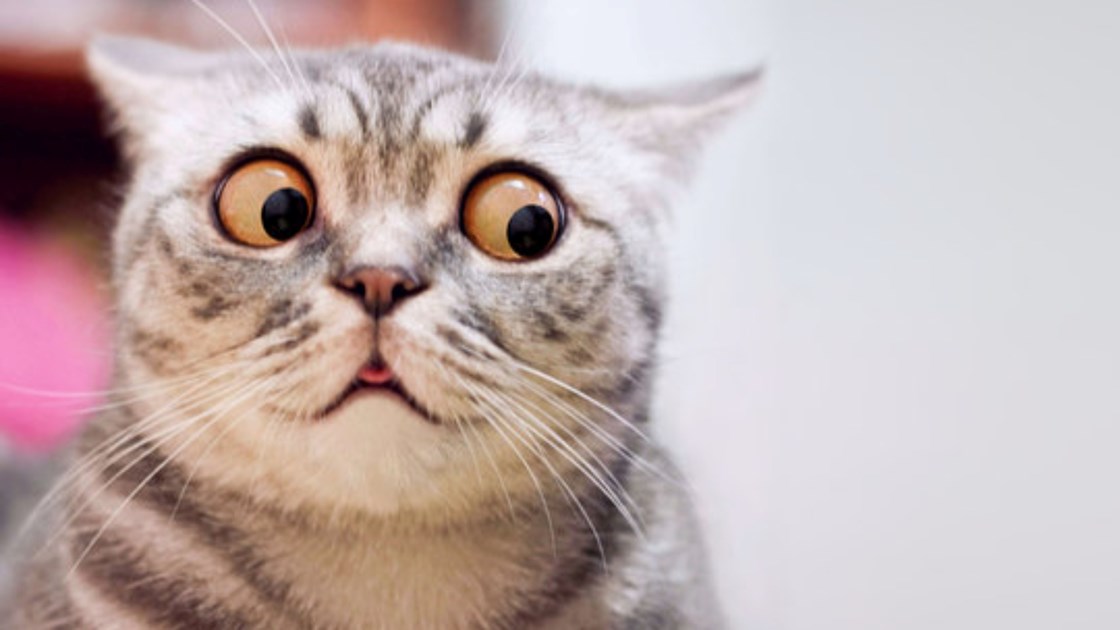 steve pitcher is fundraising for Young Lives vs Cancer