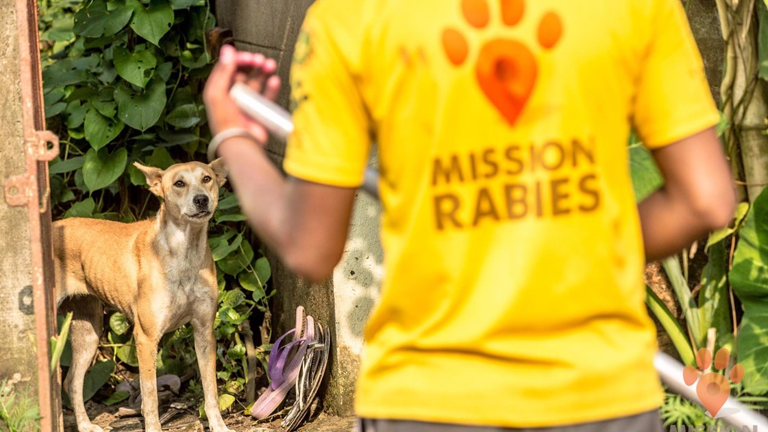 DNA Mission Rabies Team is fundraising for Mission Rabies