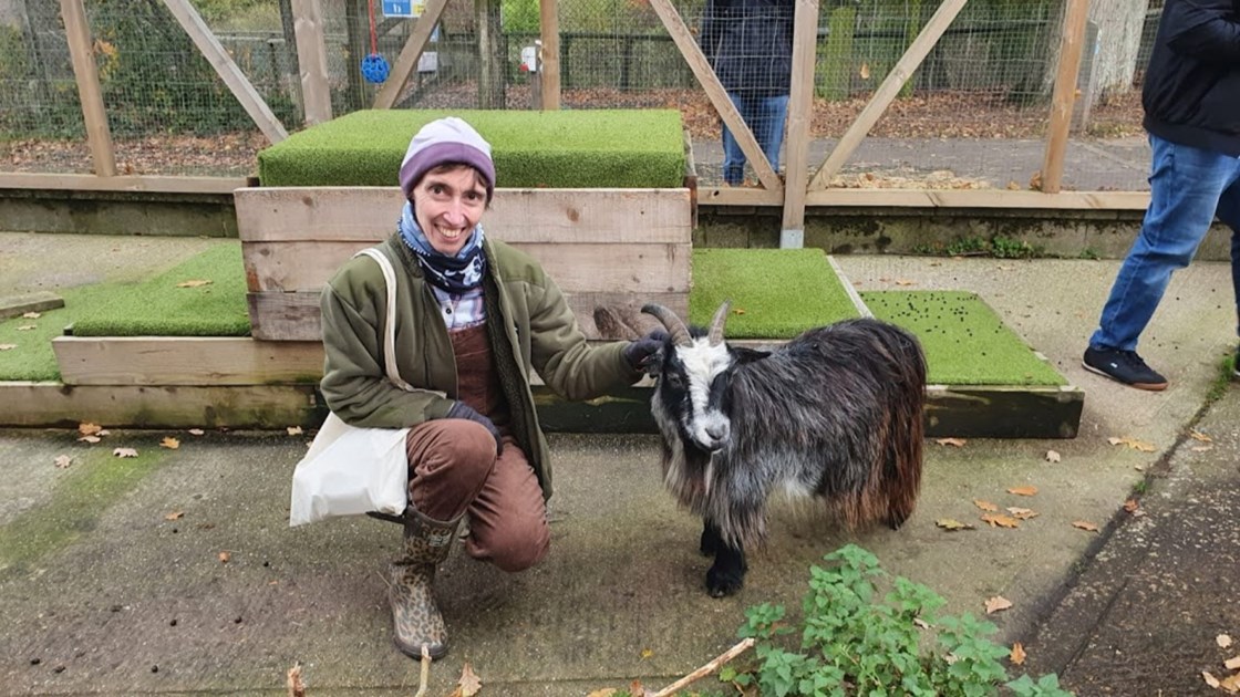 Clare Davis is fundraising for Raystede Centre For Animal Welfare Limited