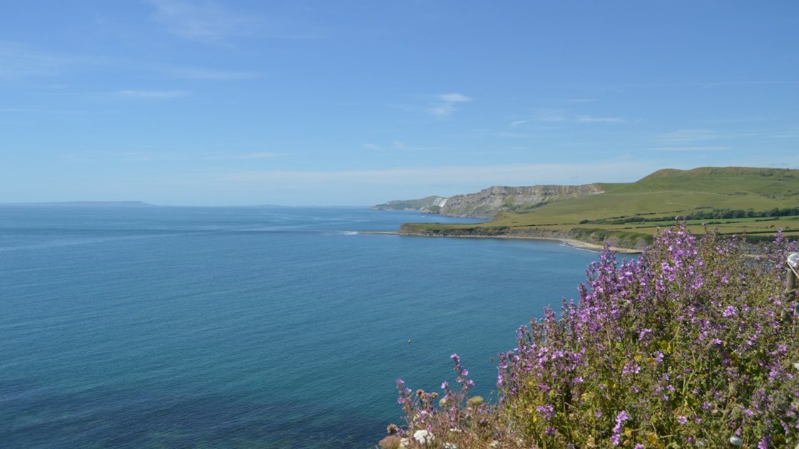 Polly Sowerby is fundraising for Action Medical Research
