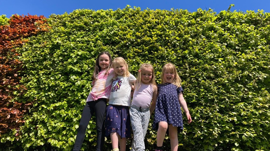 Pledge a Hedge - JustGiving