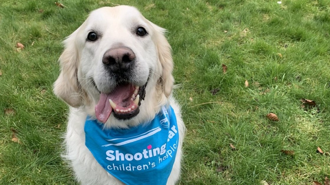 Stroll into Spring - JustGiving