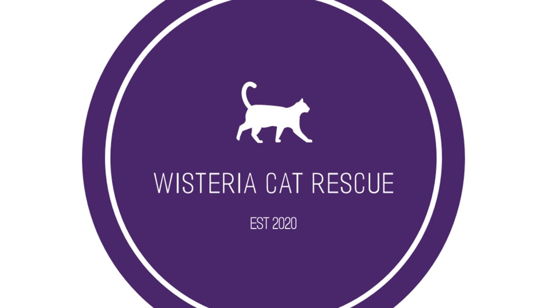 Billy Devitt is fundraising for Wisteria Cat Rescue