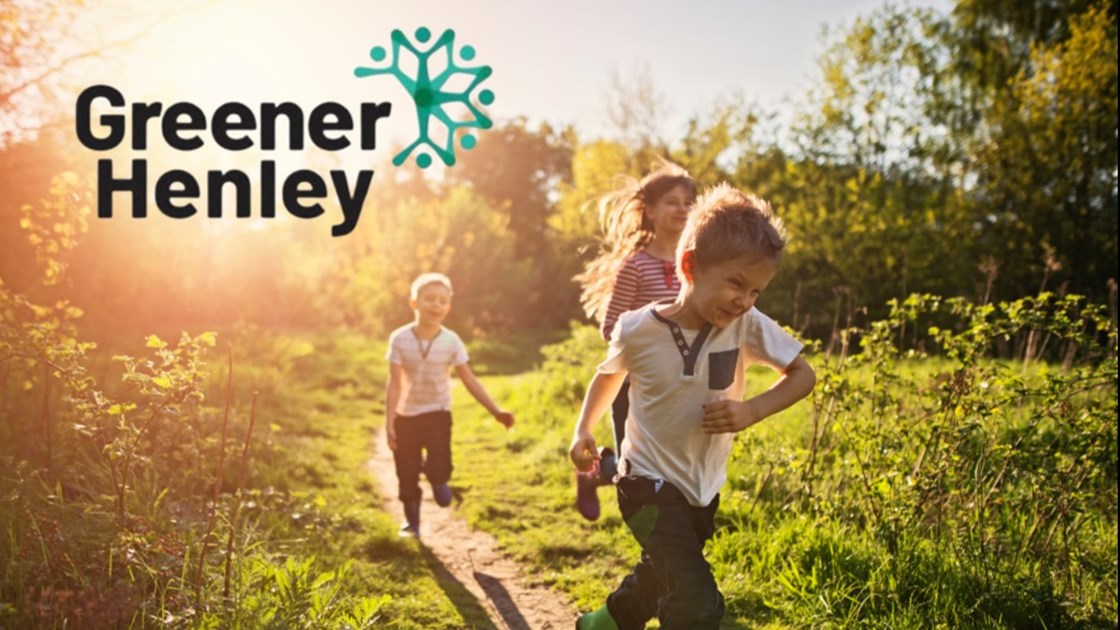 Donate today and help create a safer, cleaner, greener Henley - JustGiving
