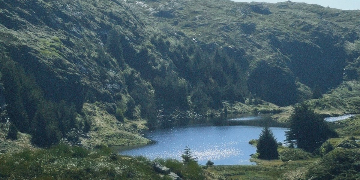 Declan Gleghorn is fundraising for Brain Tumour Research