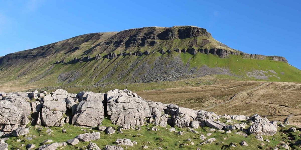 Peaked Too Early is fundraising for Dementia UK